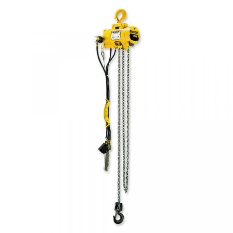 Budgit 1-Ton Air Hoist, 10' Lift, Hook, Pendant