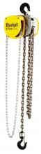 Budgit 1-Ton USA Series Hand Hoist, 20' Lift, Hook